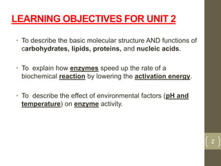 Macromolecules and enzymes ppt notes | PPTX