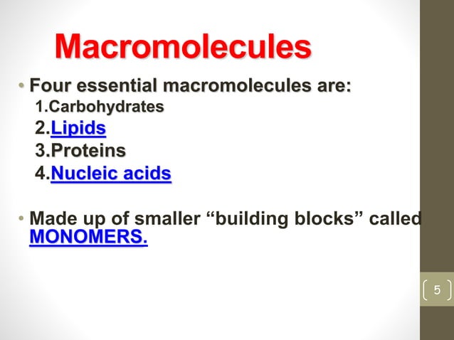 Macromolecules and enzymes ppt notes | PPTX | Hormonal Disorders ...