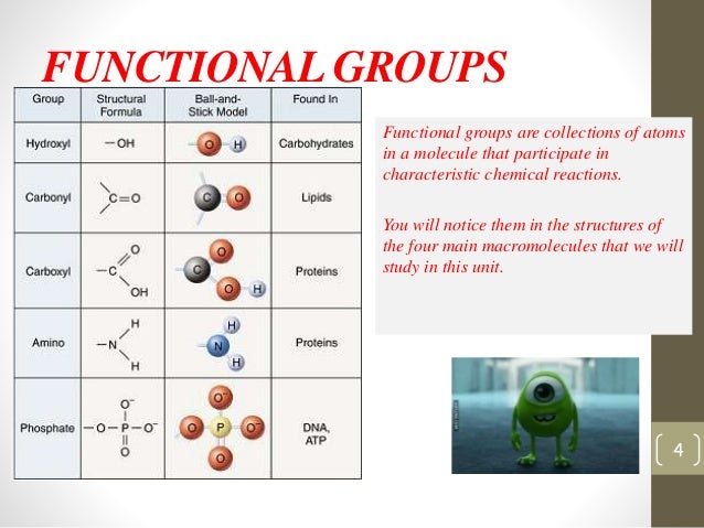 Macromolecules and enzymes ppt notes