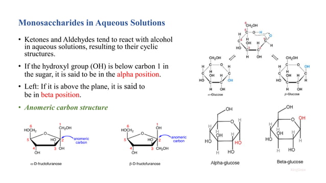 Biochemistry - Macromolecules_Carbohydrates.pdf