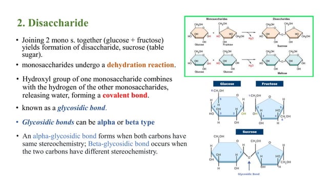 Biochemistry - Macromolecules_Carbohydrates.pdf