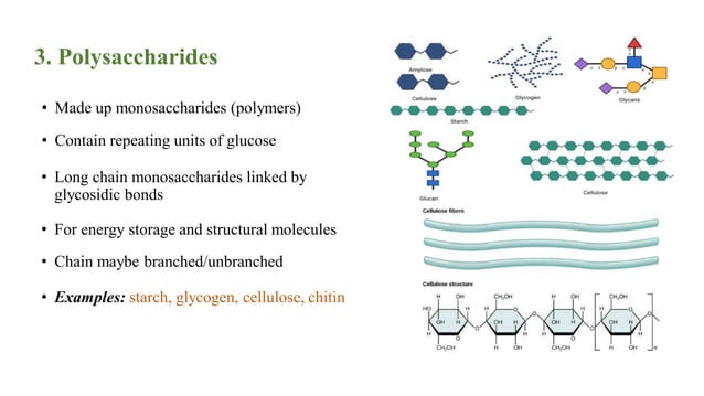 Biochemistry - Macromolecules_Carbohydrates.pdf