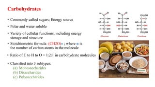 Biochemistry - Macromolecules_Carbohydrates.pdf