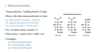 Biochemistry - Macromolecules_Carbohydrates.pdf