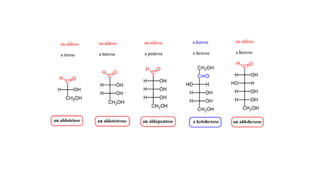 Biochemistry - Macromolecules_Carbohydrates.pdf