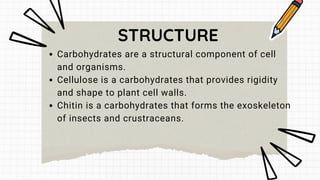 Physical Science Macromolecules _ Carbohydrates | PPT