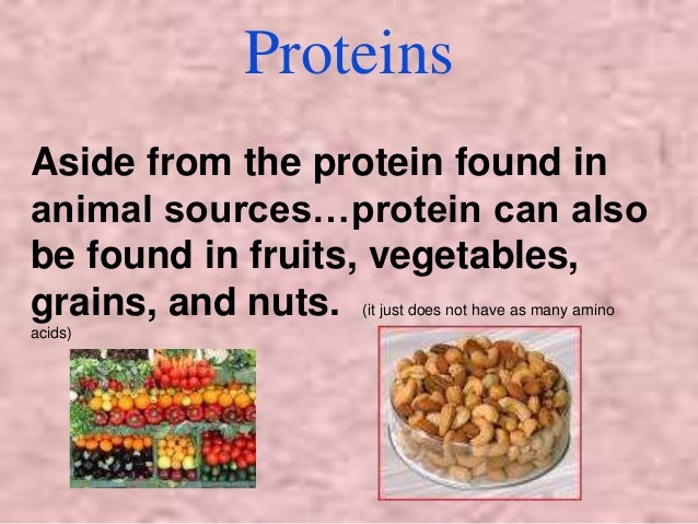 3 Macromolecules Found In Our Diet - dexnews