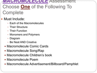 Macromolecule scramble intro | PPT