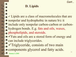 Macromolecules, (importance), ppt | PPTX