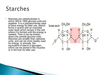 Macromolecules in cells | PPT