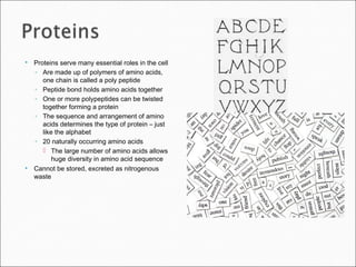 Macromolecules in cells | PPT