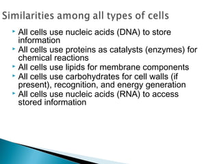 Macromolecules in cells | PPT
