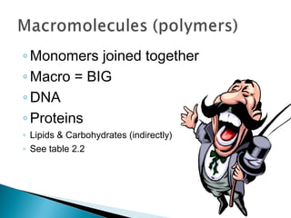 Macromolecules in cells | PPT