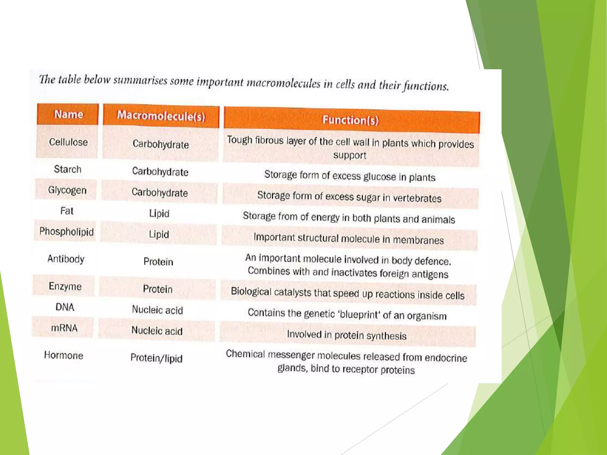 Macromolecules introduction | PPTX