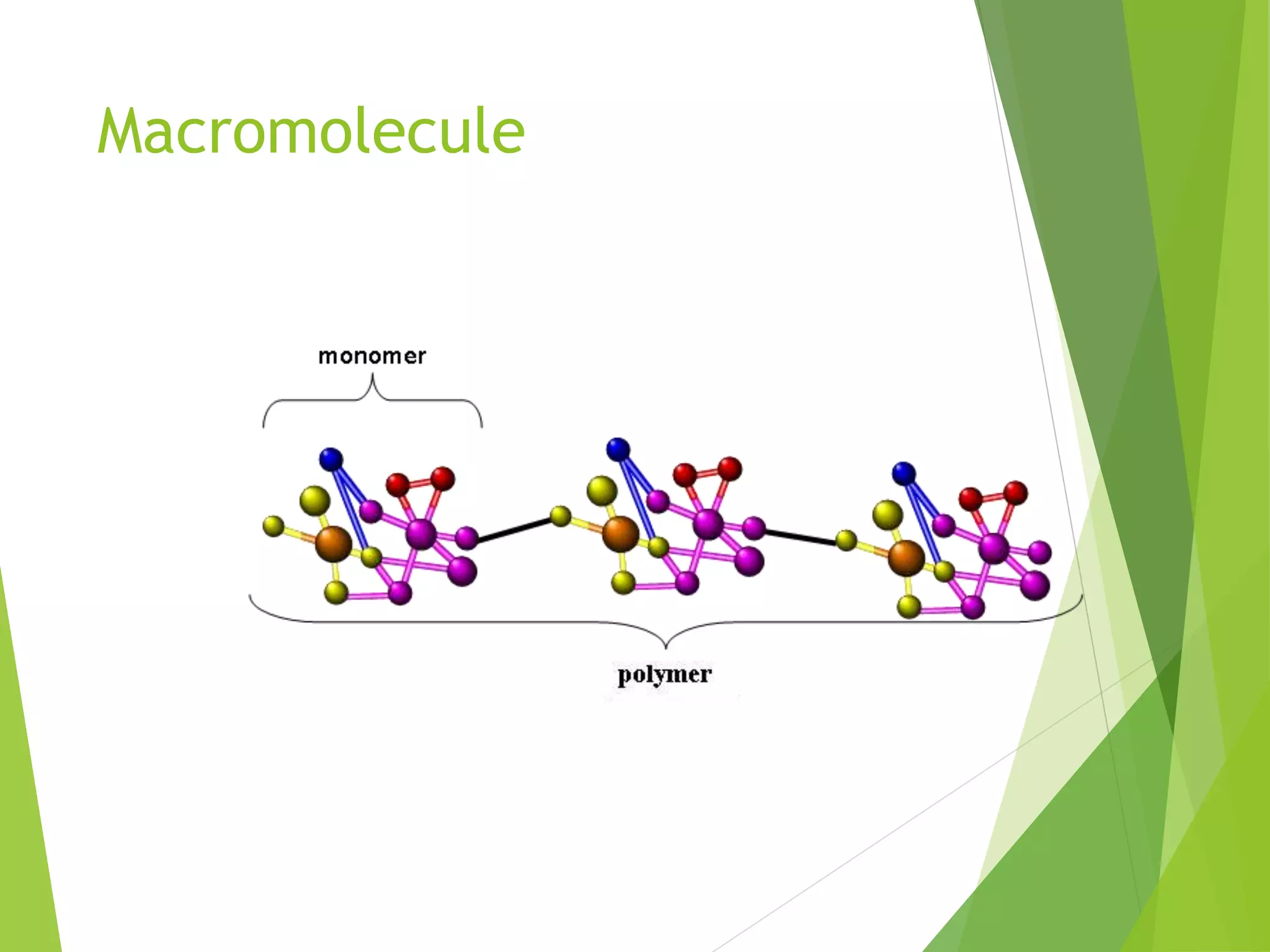 Macromolecules introduction | PPTX