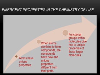 Macromolecules notes basic with vocab | PPT