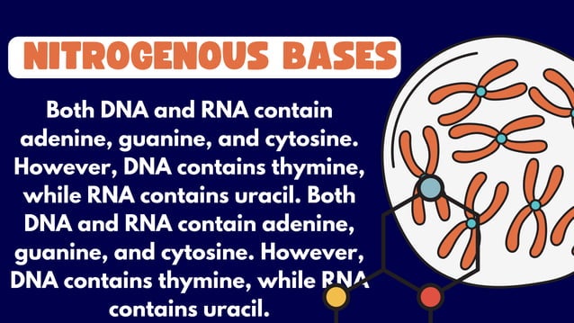 Physical Science Macromolecules _ Nucleic Acid | PPT