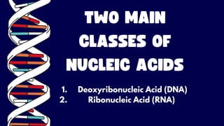 Physical Science Macromolecules _ Nucleic Acid | PPT