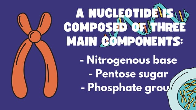 Physical Science Macromolecules _ Nucleic Acid | PPT