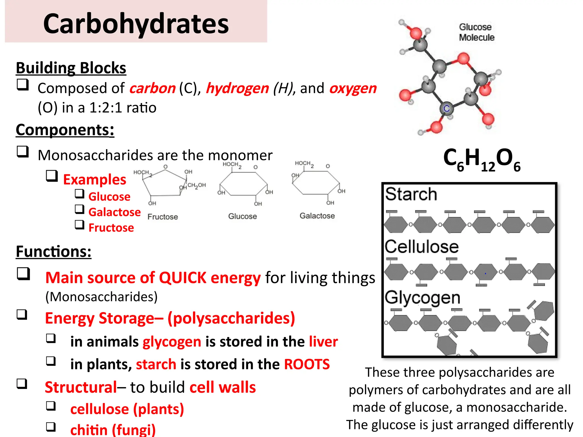 Biological Macromolecules PowerPoint Presentation | PPT