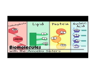 Biological Macromolecules PowerPoint Presentation | PPT