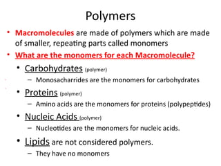 Biological Macromolecules PowerPoint Presentation | PPT