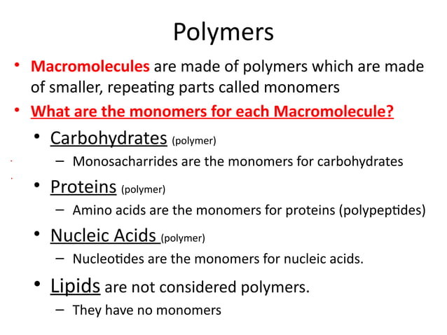Biological Macromolecules PowerPoint Presentation | PPT