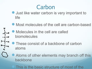 Macro molecules | PPT