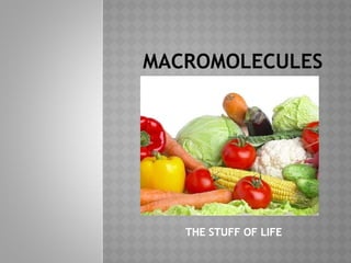 Macromolecules PPT for high school students | PPTX