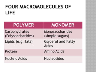 Macromolecules PPT for high school students | PPTX