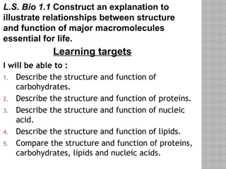Macromolecules PPT for high school students | PPTX
