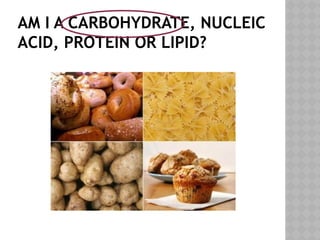 Macromolecules PPT for high school students | PPTX