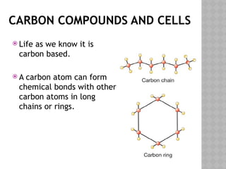 Macromolecules PPT for high school students | PPTX