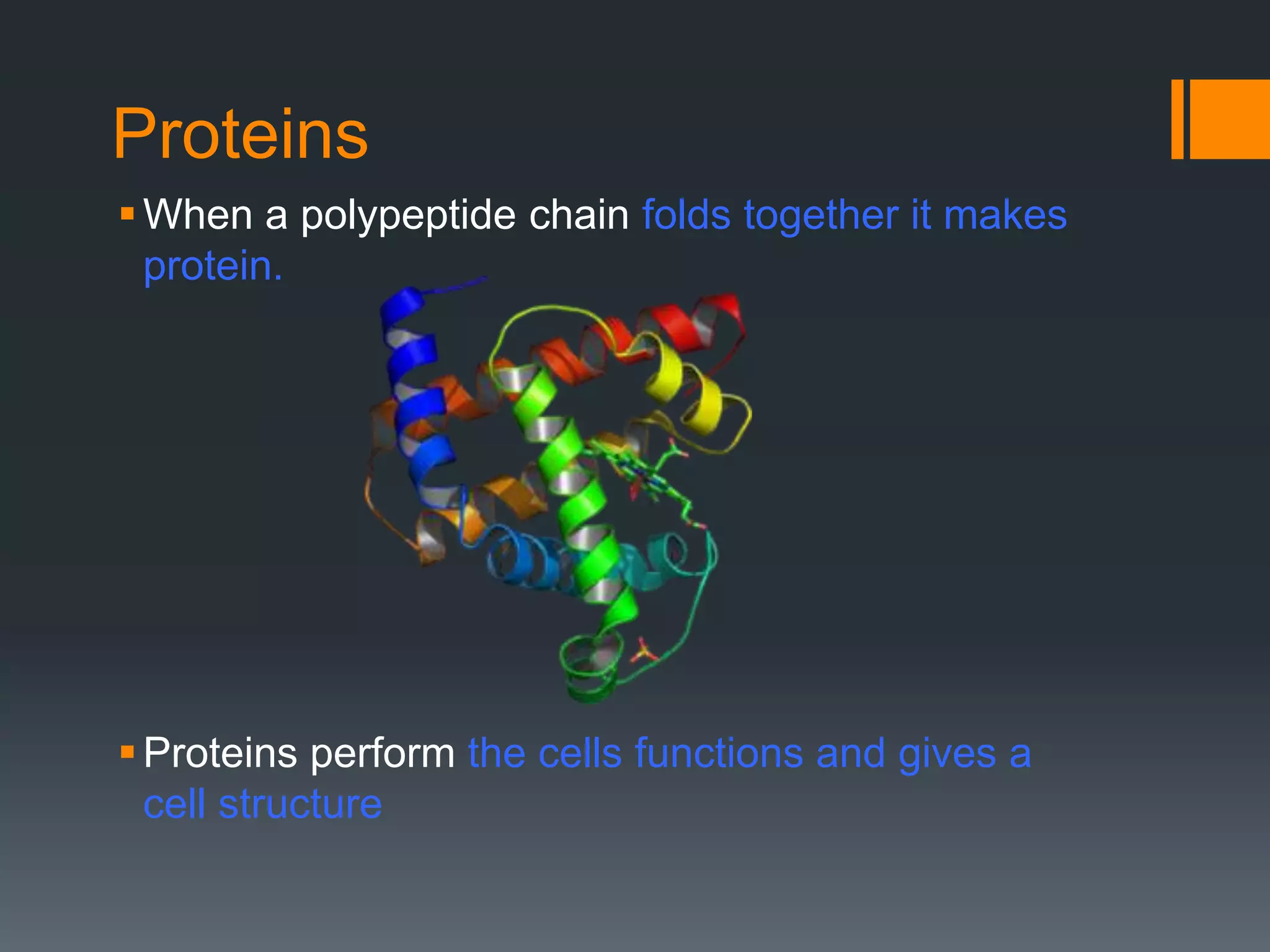 Macromolecules slides | PPTX