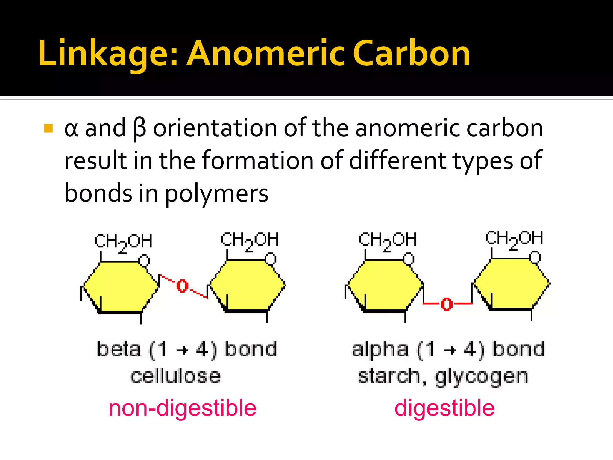 Macro mols - carbohydrates lesson | PPTX