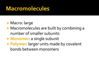 Macro mols - carbohydrates lesson | PPTX