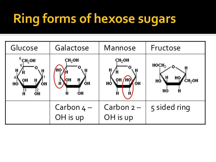 Macro mols - carbohydrates lesson