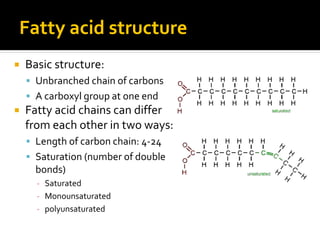 Macro mols lipids lesson | PPTX