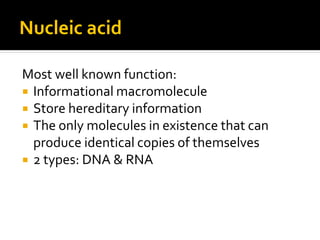 Macro mols nucleic acids | PPTX