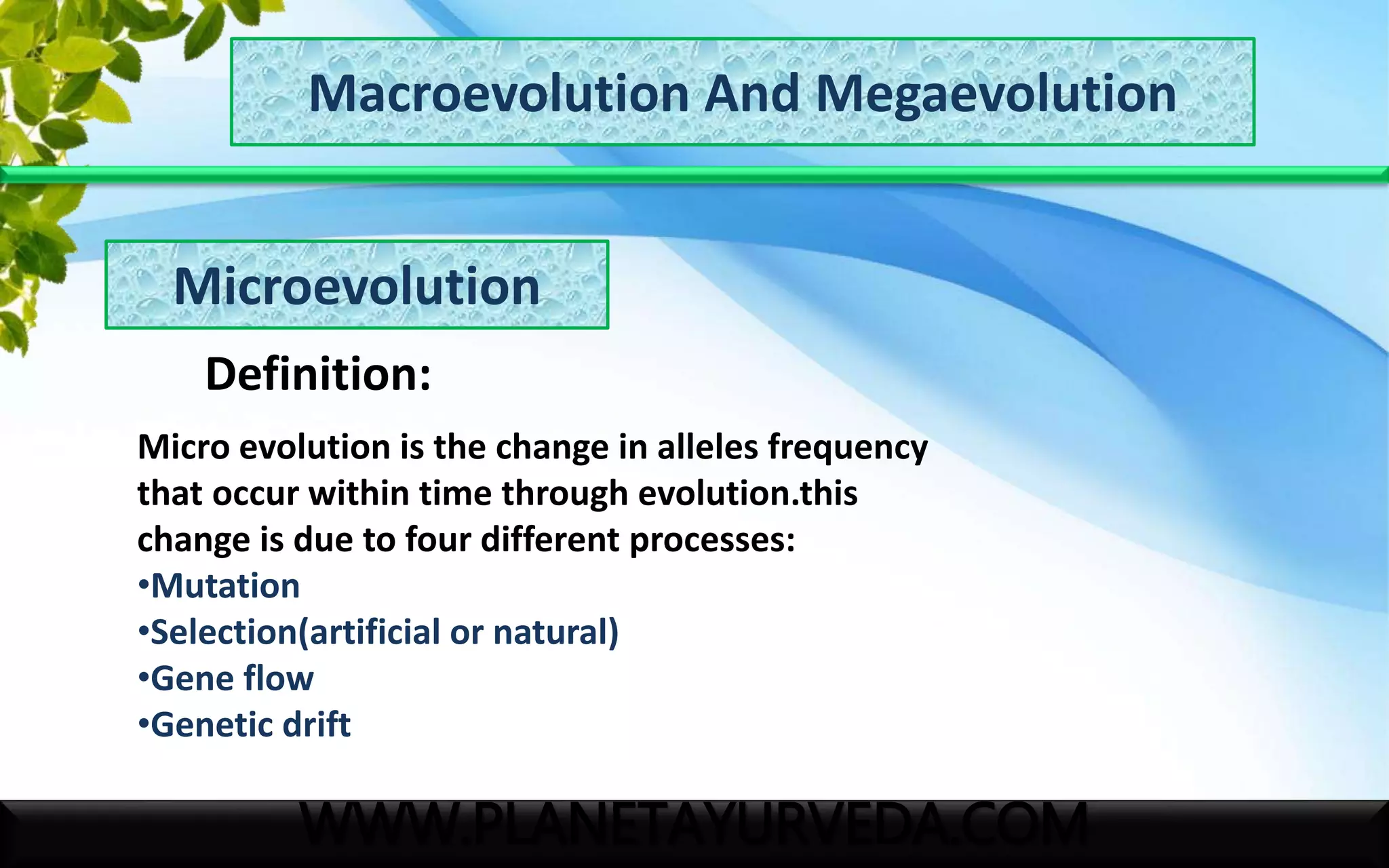 Macro n megaevolution | PPTX