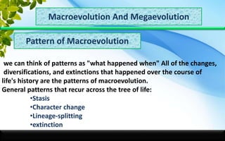 Macro n megaevolution | PPTX