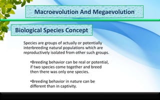 Macro n megaevolution | PPTX