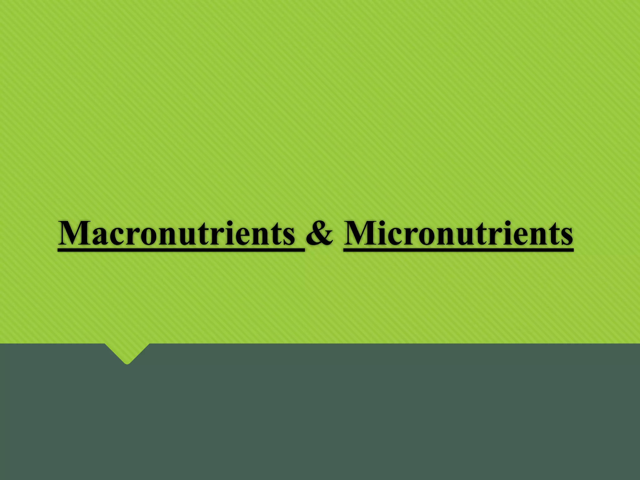 Macronutrient and micronutrient | PPTX
