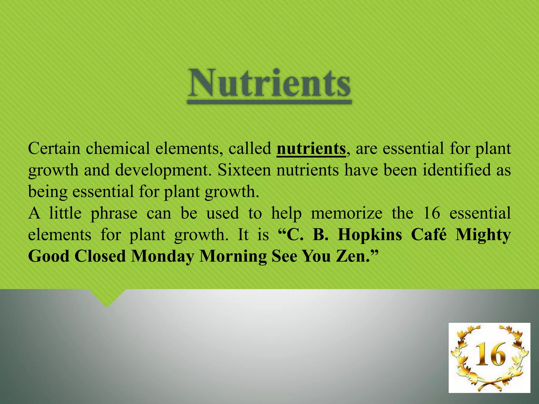 Macronutrient and micronutrient | PPTX