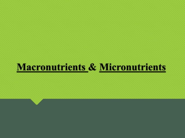 Macronutrient and micronutrient | PPTX
