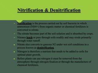 Macronutrient and micronutrient | PPTX