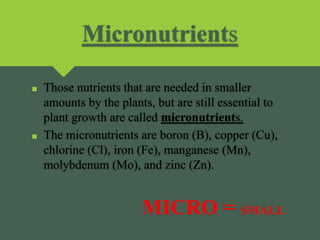Macronutrient and micronutrient | PPTX