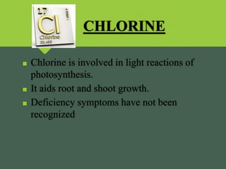 Macronutrient and micronutrient | PPTX