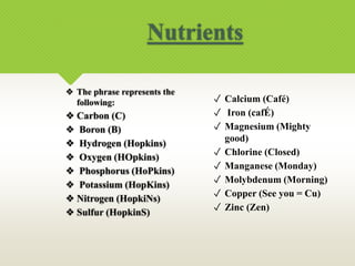 Macronutrient and micronutrient | PPTX