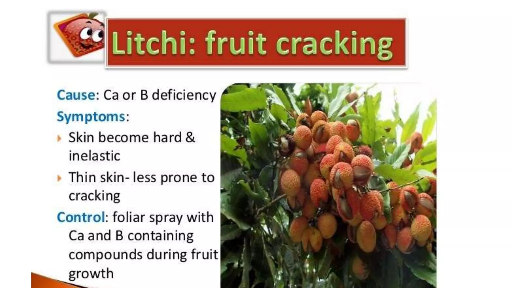 Macronutrient deficiency in plants | PPTX